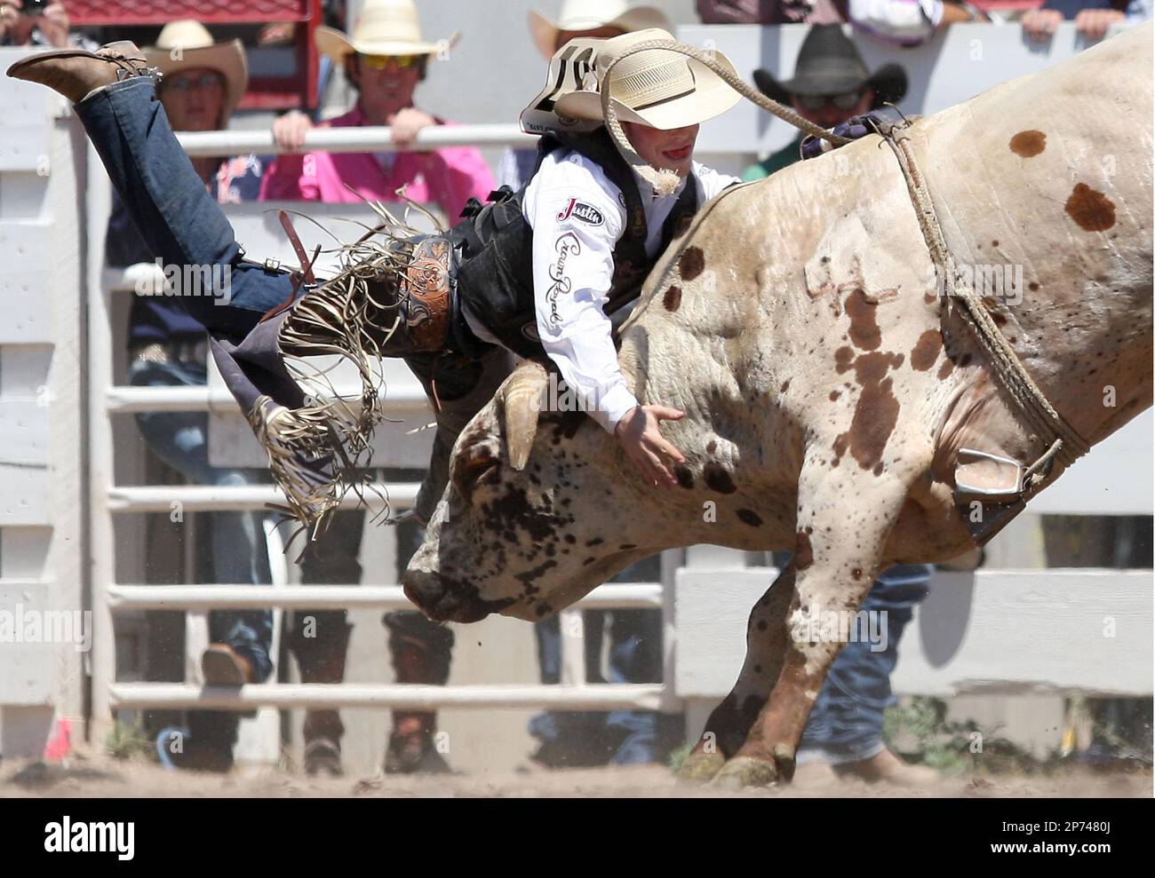 Steve Woolsey of Payson, Utah gets caught up during bull riding at the ...