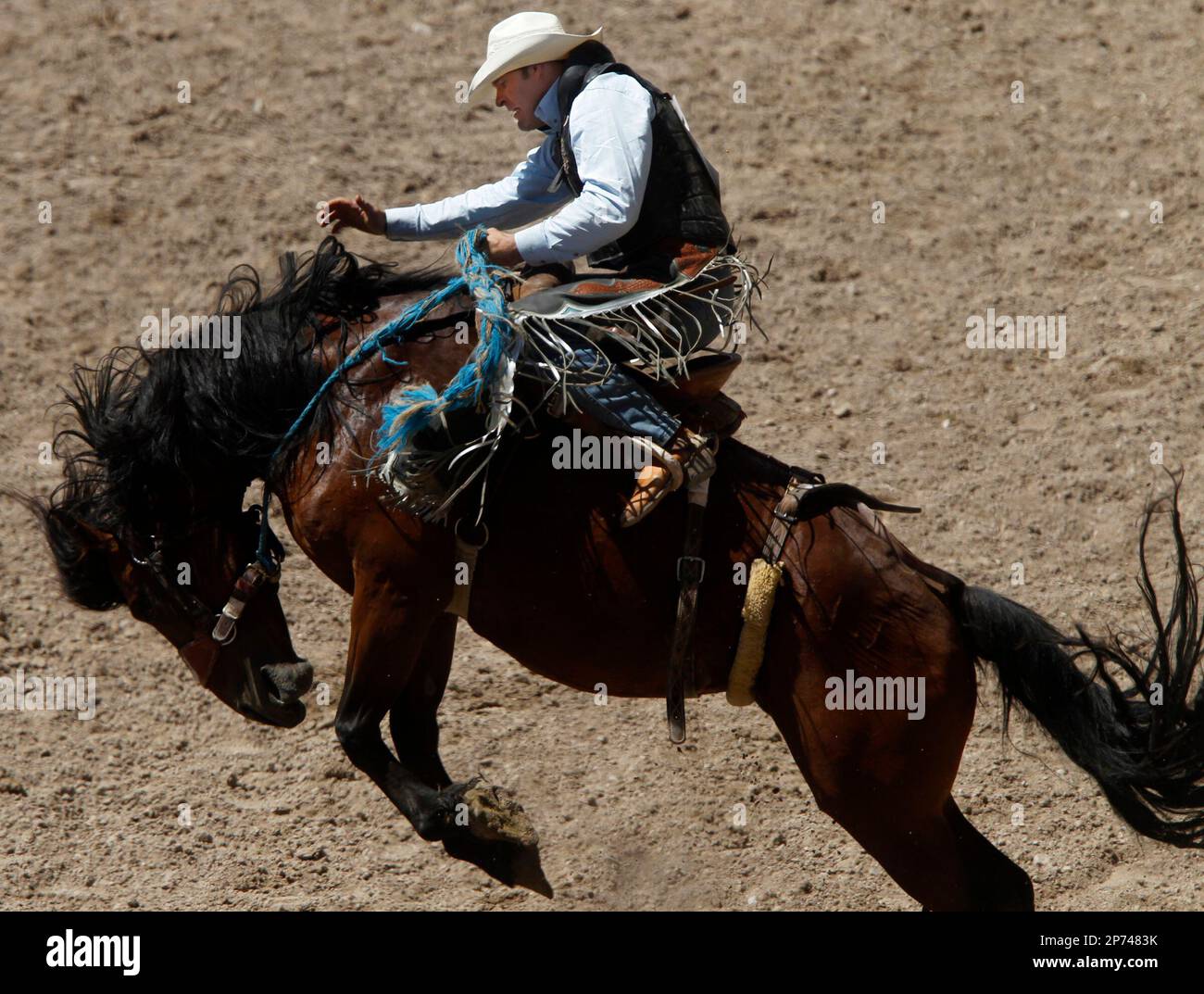 Jesse Bail from Camp Crook, S.D. rides in the saddle bronc, Sunday ...