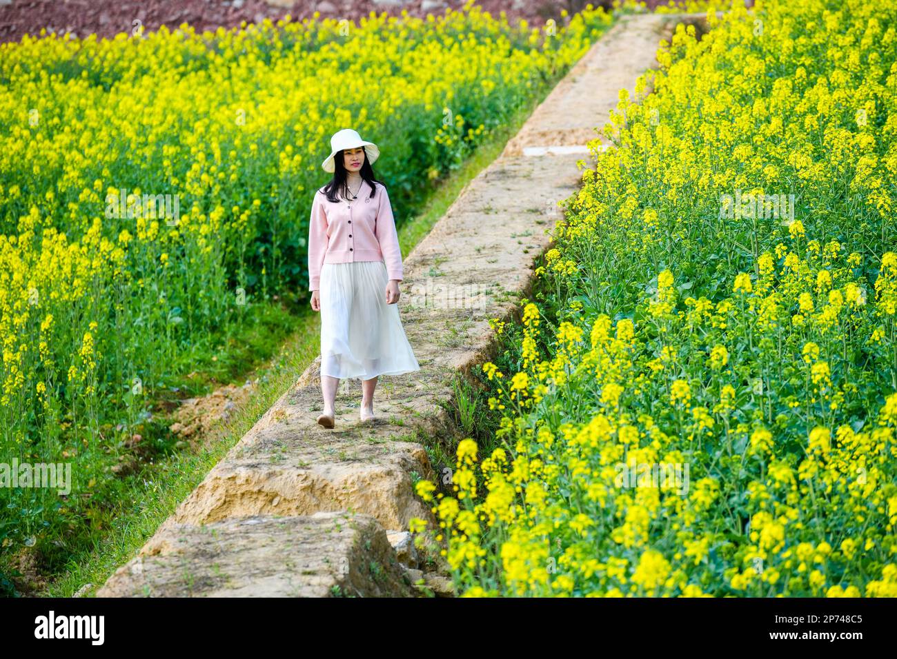 BAZHONG, CHINA - MARCH 7, 2023 - A tourist enjoys rapeseed flowers in ...