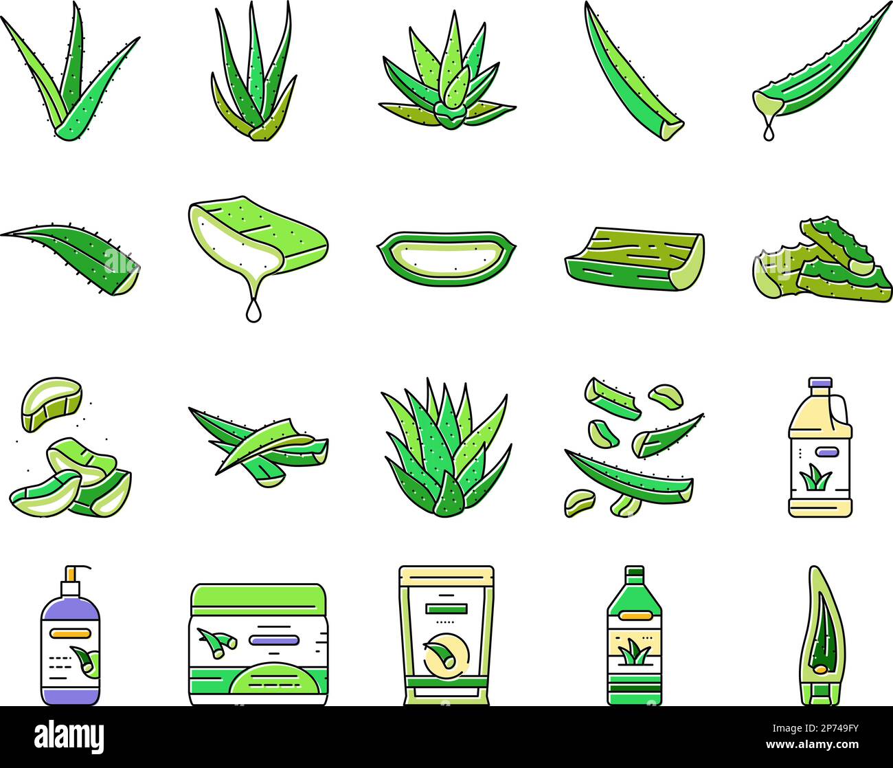 aloe vera nature green care icons set vector Stock Vector Image & Art ...
