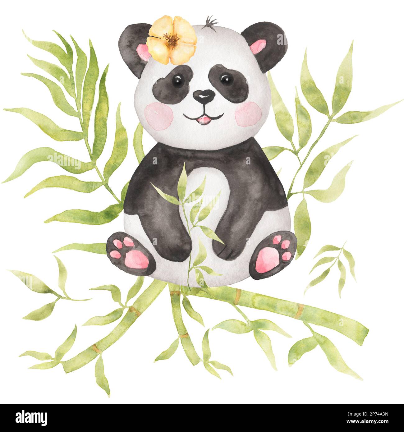 Panda clipart. Watercolor Baby panda clip art, Tropical animal ...