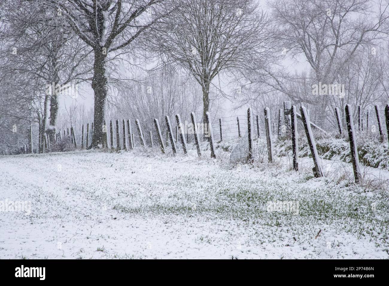 Illustration shows the frost and the cold wave for the winter in ...
