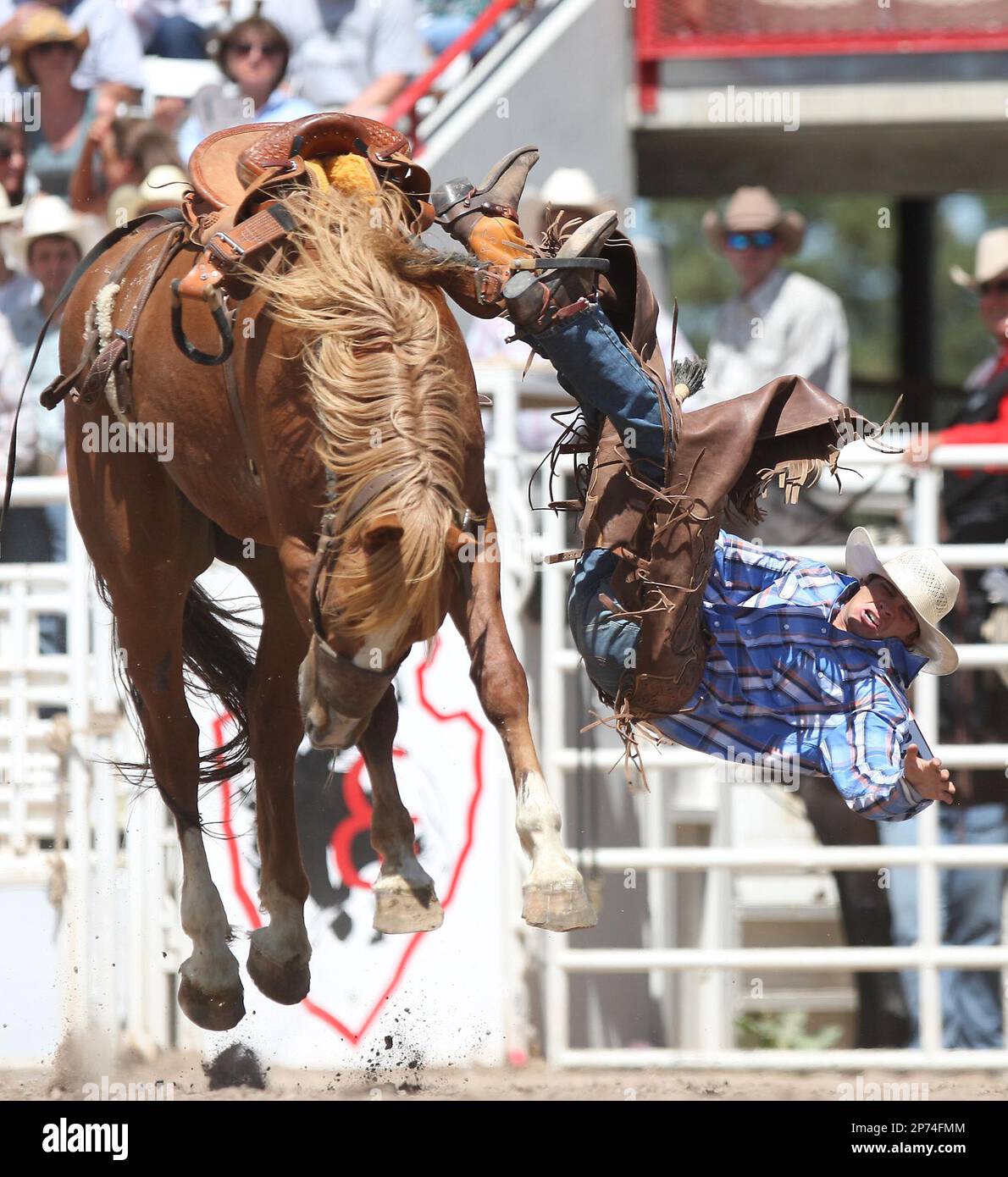 Nickolas LeBlanc competes in rookie saddle bronc riding during Cheyenne ...