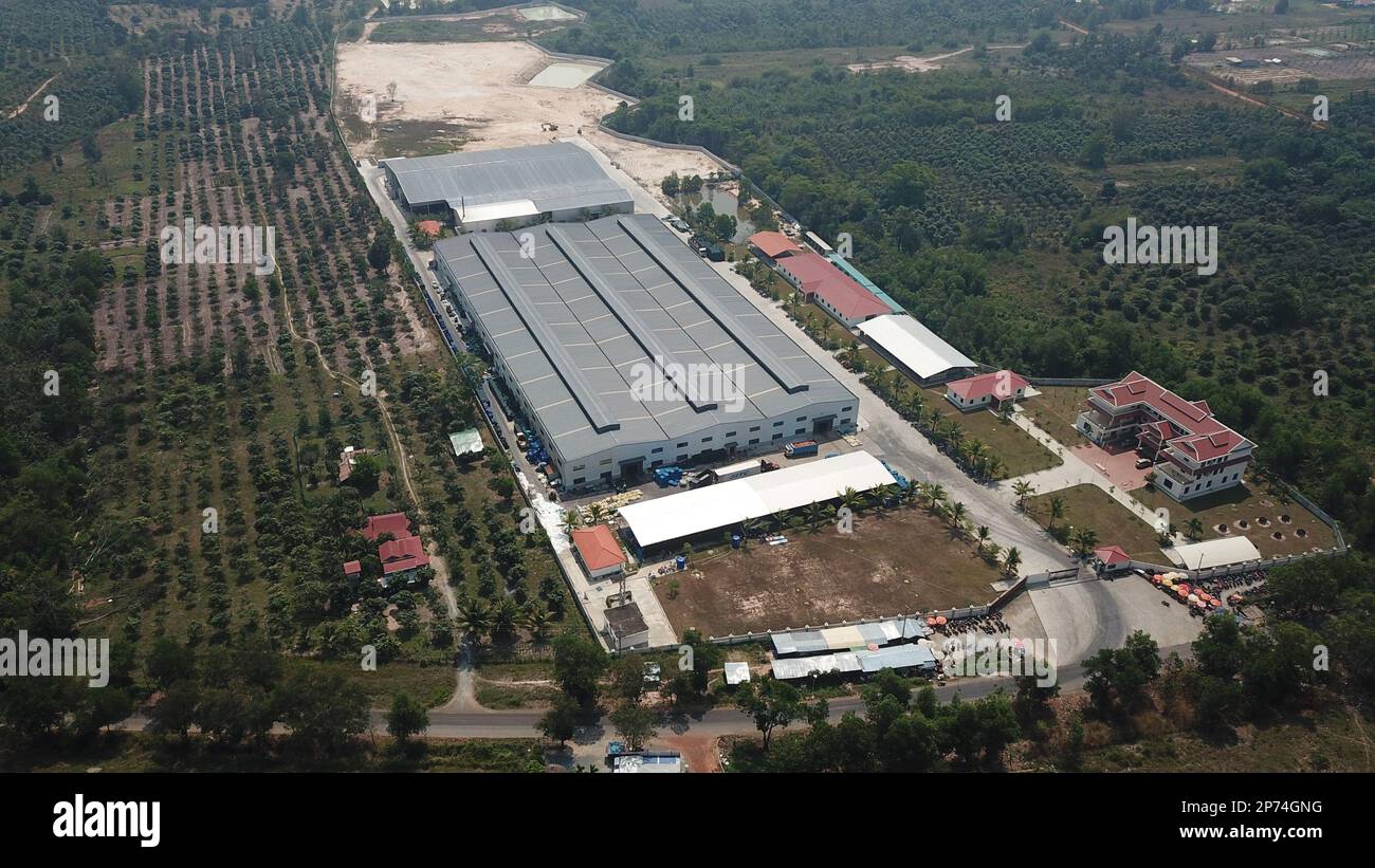 Longan bao hi-res stock photography and images - Alamy