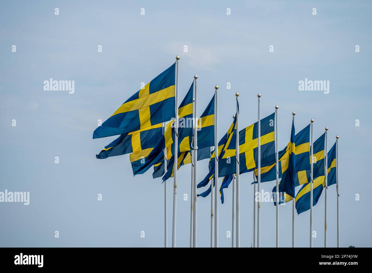 A lot of swedish flags flying from flag poles Stock Photo - Alamy