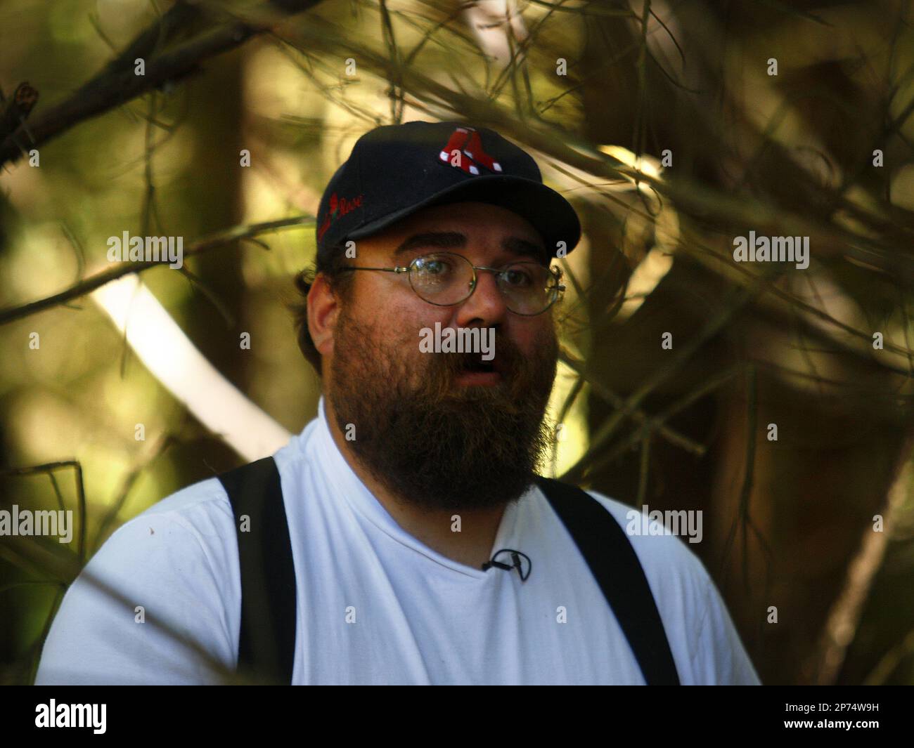 Sunlight is already streaming into the forest in areas thinned behind ...