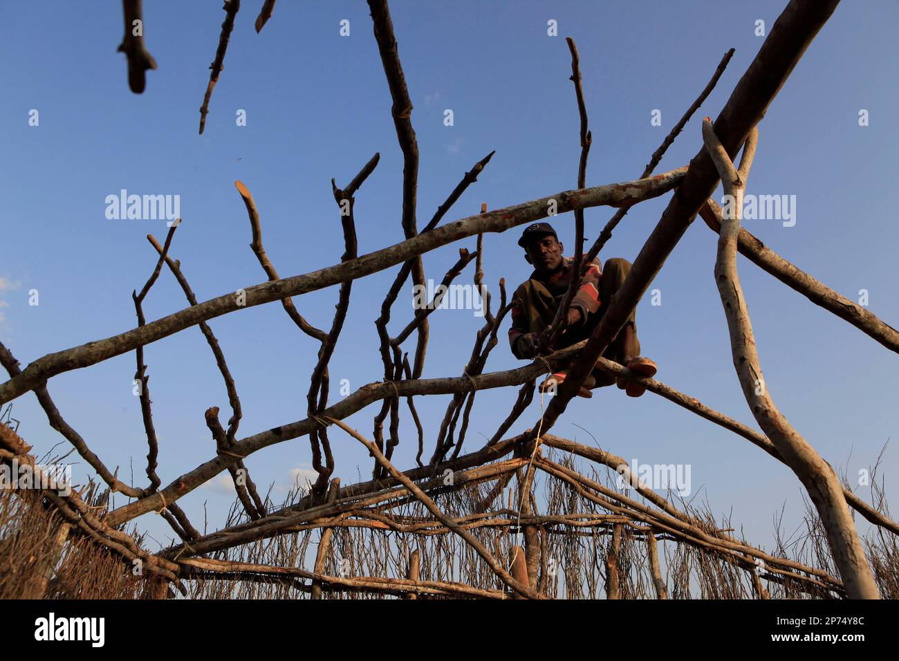 A Somali man builds a shelter for his family on the outskirts of ...