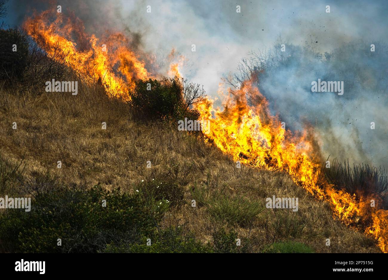 Fire burns in dry brush just north of Carbon Canyon Road, west of ...