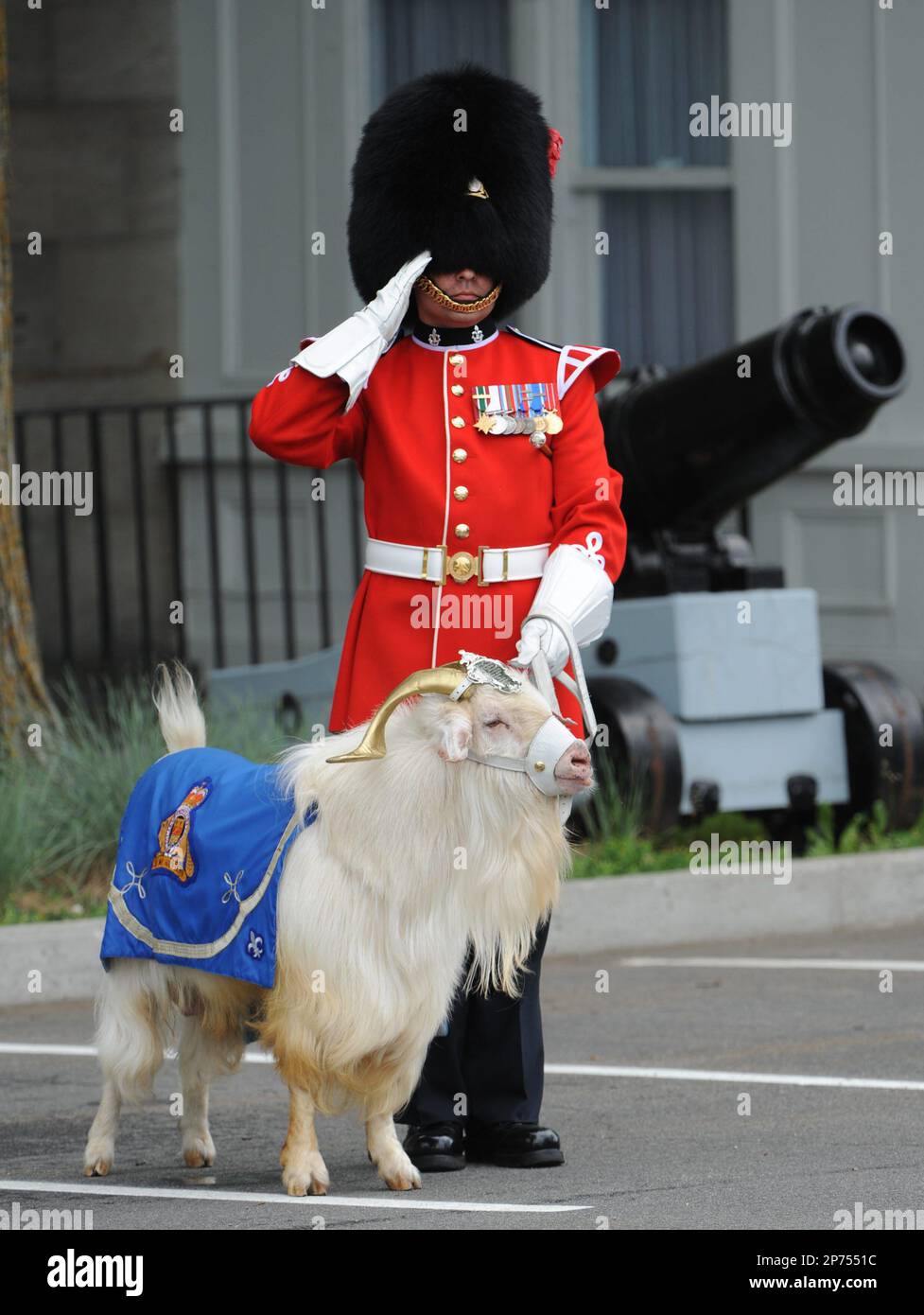 One of the Governor General's foot guards is seen with the Royal 22nd ...