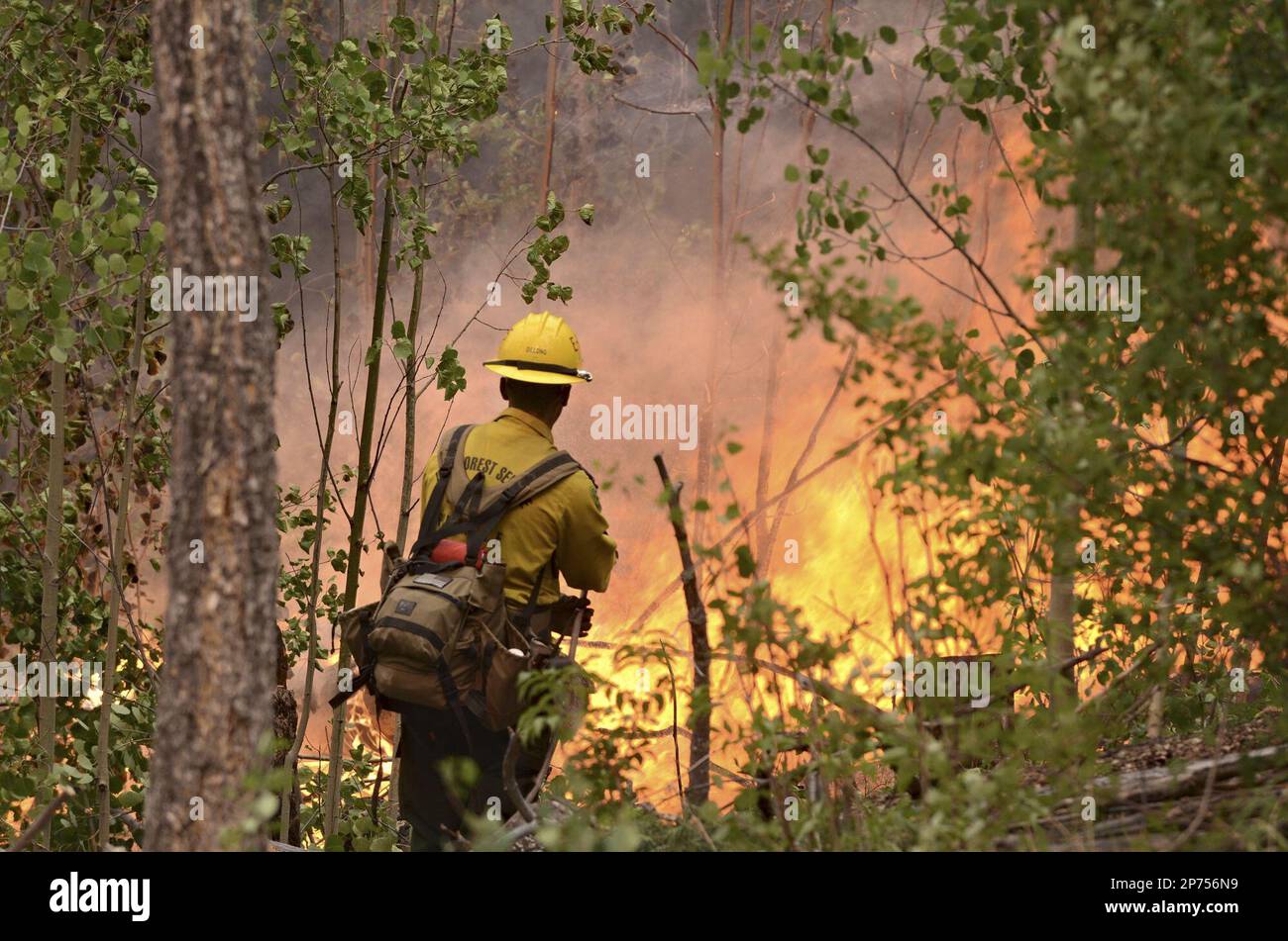 U.S. Forest Service firefighter Brandon DeLong of Quincy, Calif ...