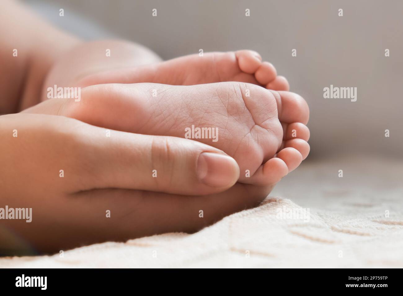 Mother holding Baby Feet in Hands. Legs Newborn in female parents Hand ...