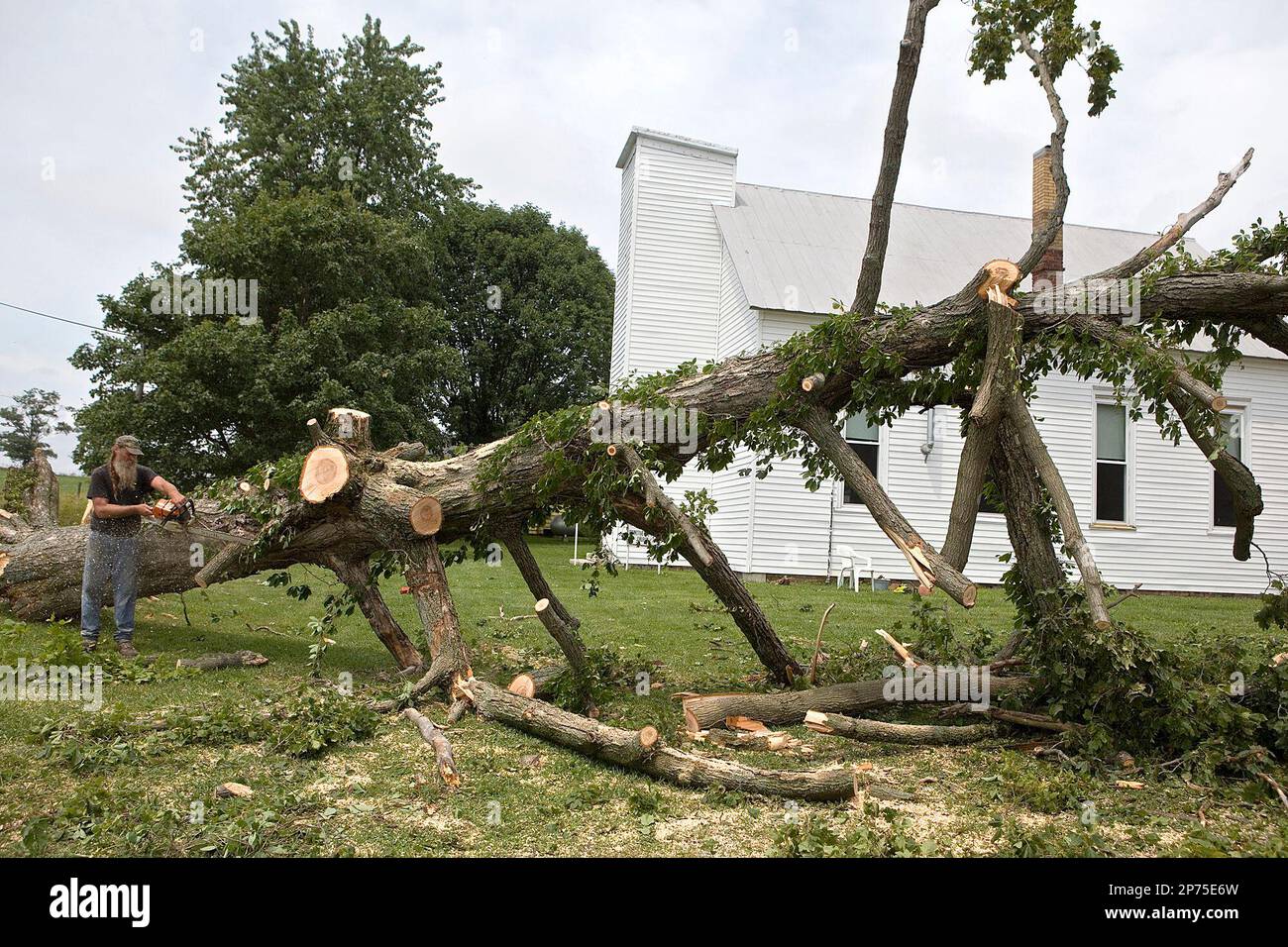 In a June 26, 2011 photo, Kurt Fehribach of Duff, Ind., helps cut down ...
