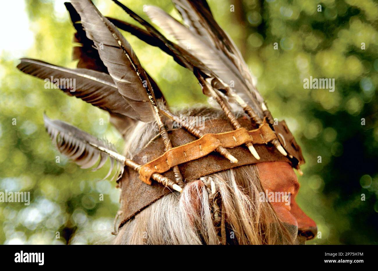 In this Aug. 18, 2007 photo, Robert Green, chief of the Patawomeck ...