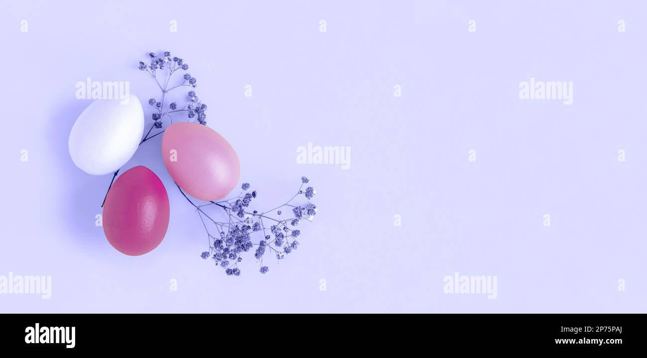 Happy Easter concept. Easter eggs and blue spring flowers isolated on ...