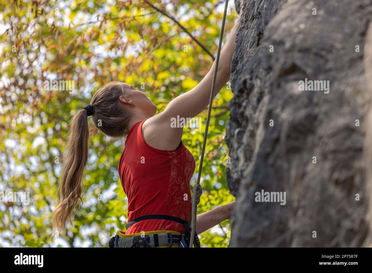 Woman climbing in the rock wall Stock Photo - Alamy