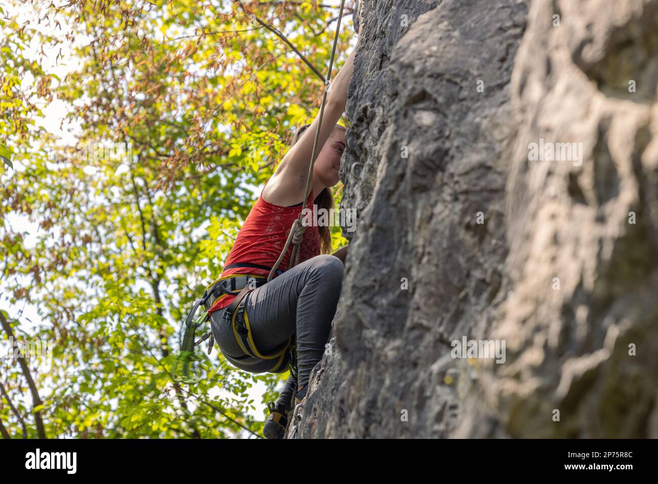 A woman with a rope engaged climbing on the cliff. A woman climbs on a ...
