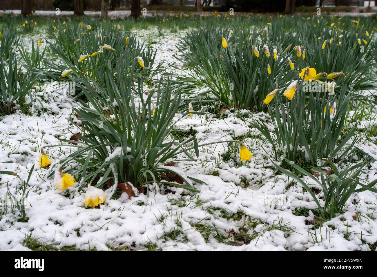 Seasons coldest night hi-res stock photography and images - Alamy