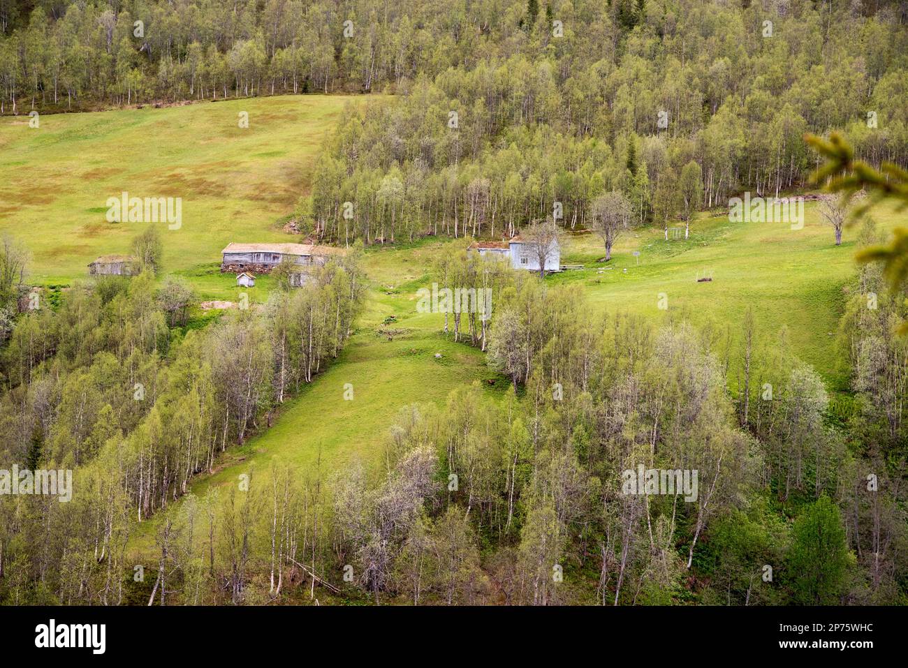 Yttrer-Bredek is a since 1965 abandoned mountain farm above Stormdalen ...