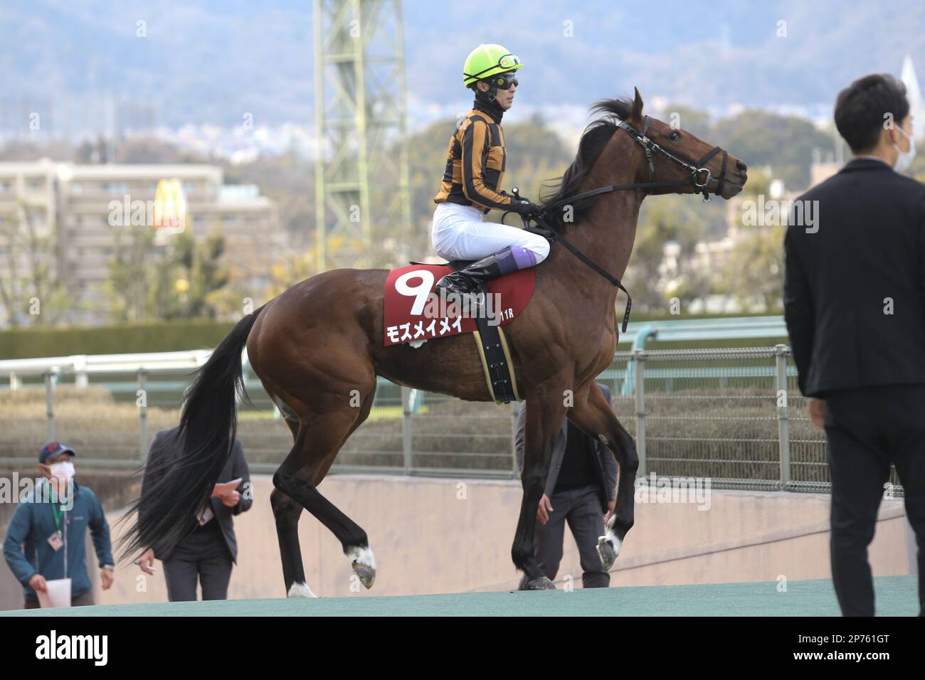 Hyogo, Japan. 4th Mar, 2023. Mozu Meimei and Yutaka Take before the Tulip Sho at Hanshin ...