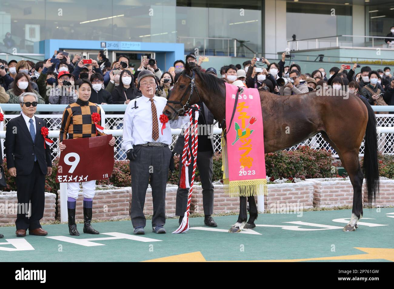 Hyogo, Japan. 4th Mar, 2023. Mozu Meimei, jockey Yutaka Take and trainer Hidetaka Otonashi won ...