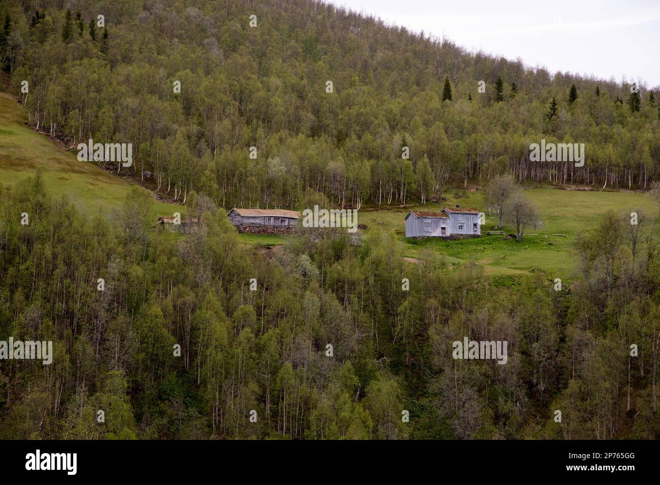 Yttrer-Bredek is a since 1965 abandoned mountain farm above Stormdalen ...