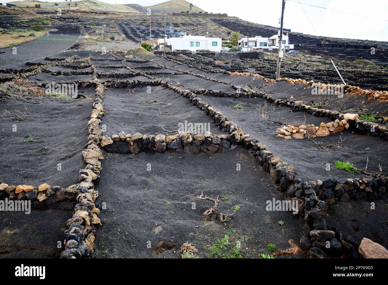 small local winery with square rock walls surrounding vines and fields ...
