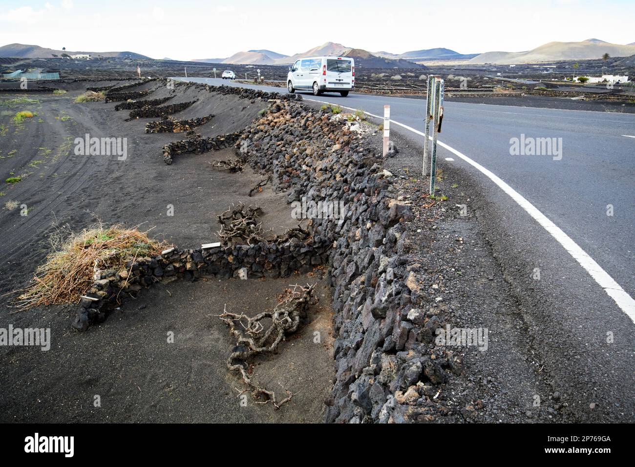 elevated road above fields built up with volcanic rock in wine growing ...