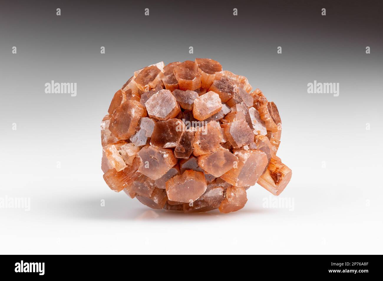 Radiating Group of Prismatic Crystals of Raw Aragonite Mineral Gem ...
