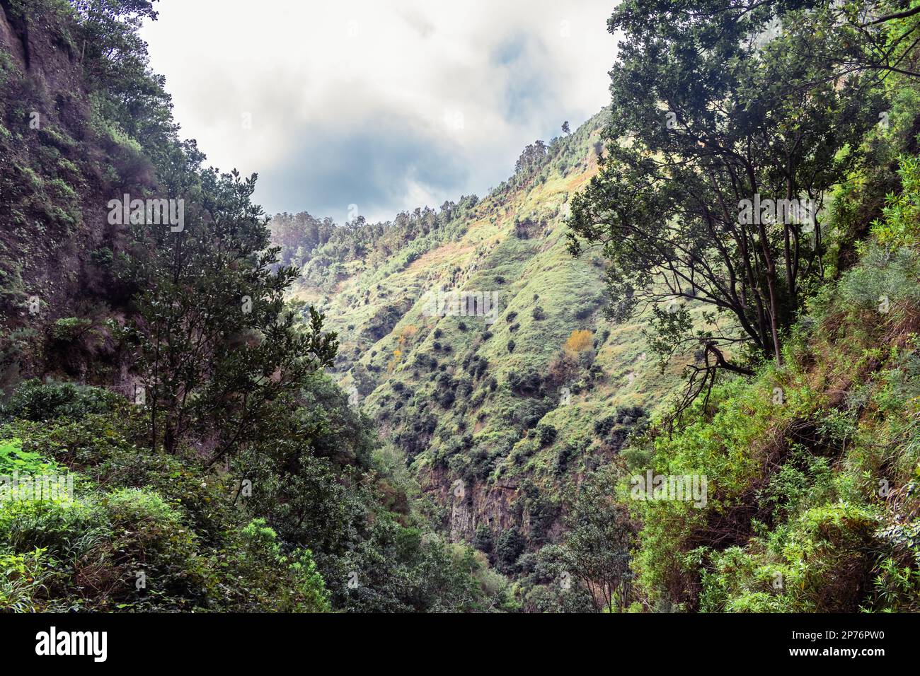 Middle mountain wild forest hi-res stock photography and images - Alamy