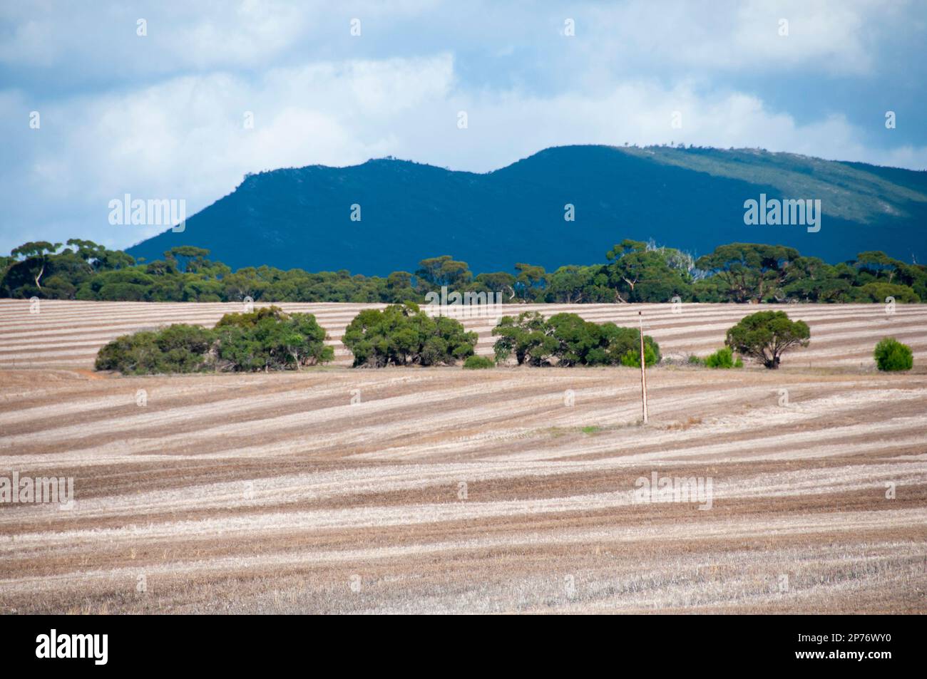 Crops south australia hi-res stock photography and images - Alamy