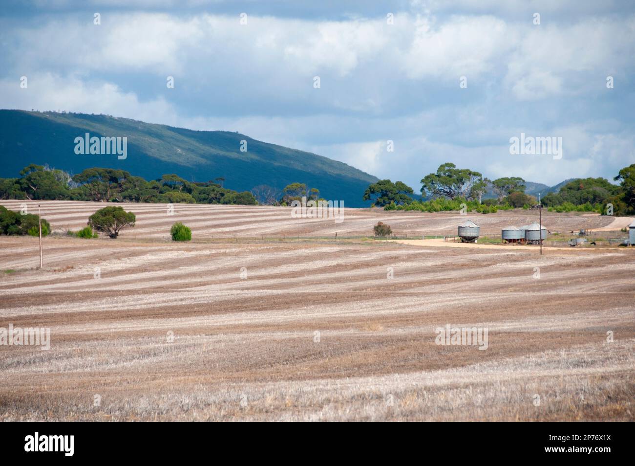 Crops south australia hi-res stock photography and images - Alamy