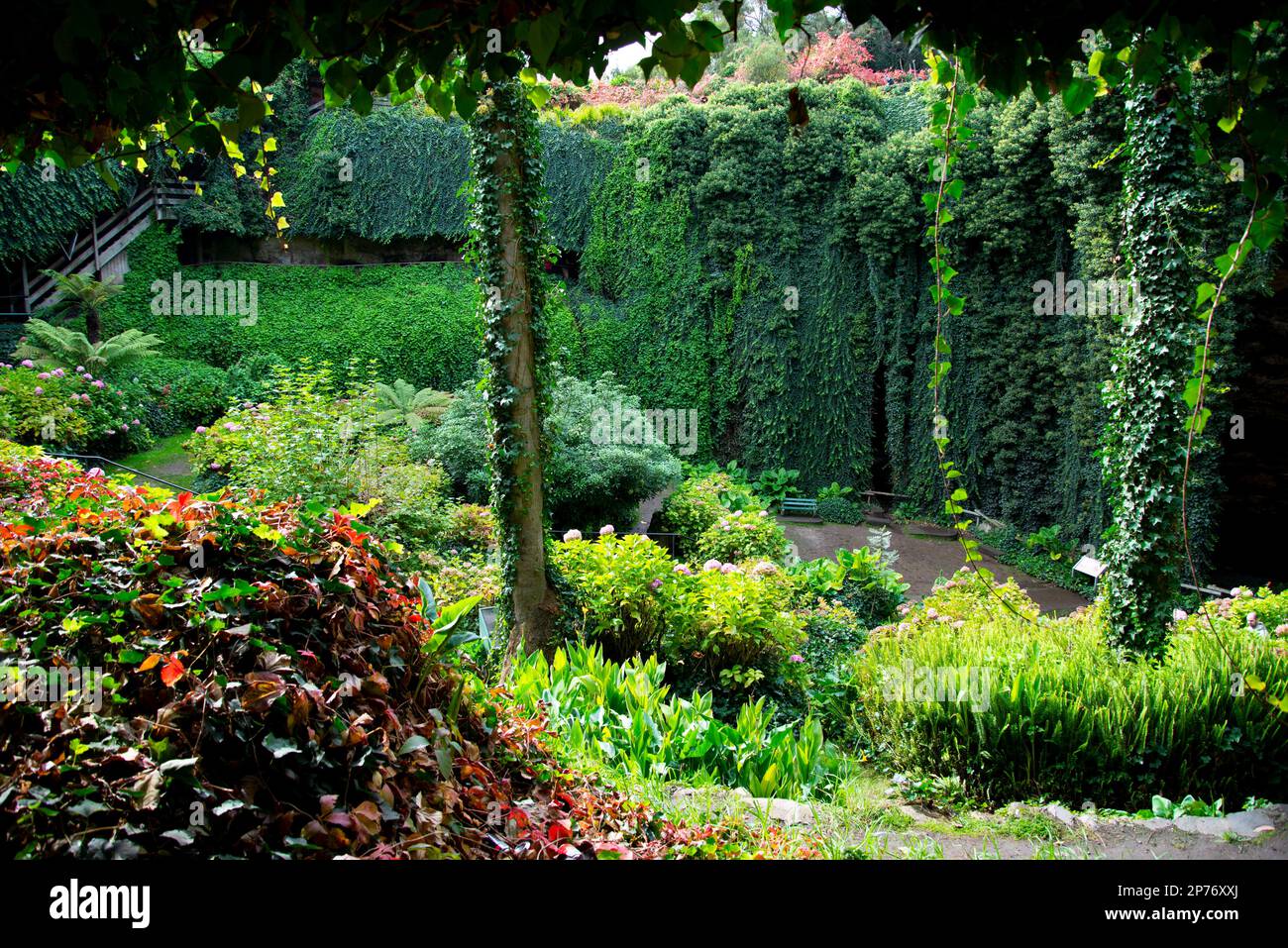 Garden sink australia hi-res stock photography and images - Alamy
