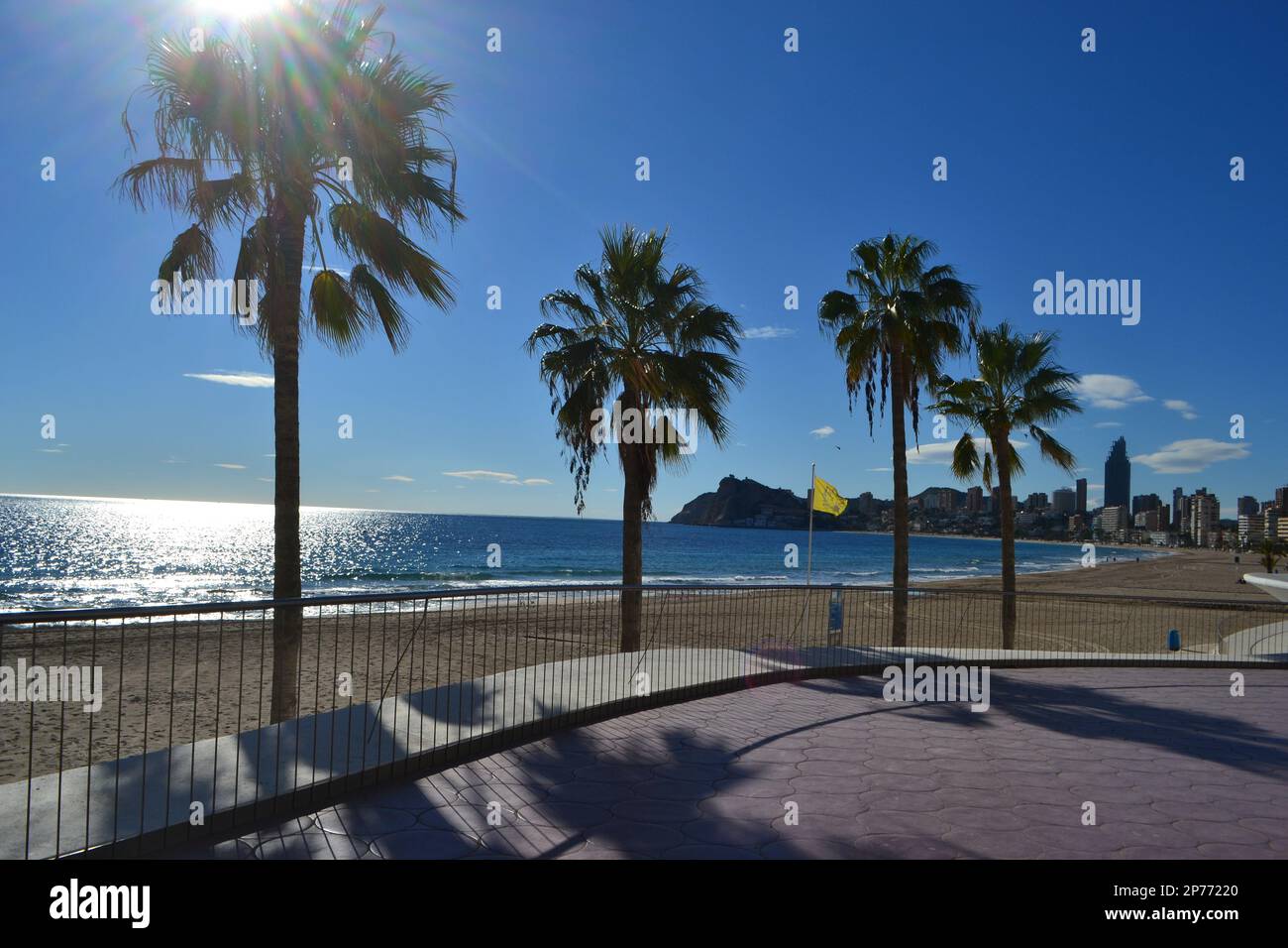 Palms in Spain, Benidorm Stock Photo - Alamy