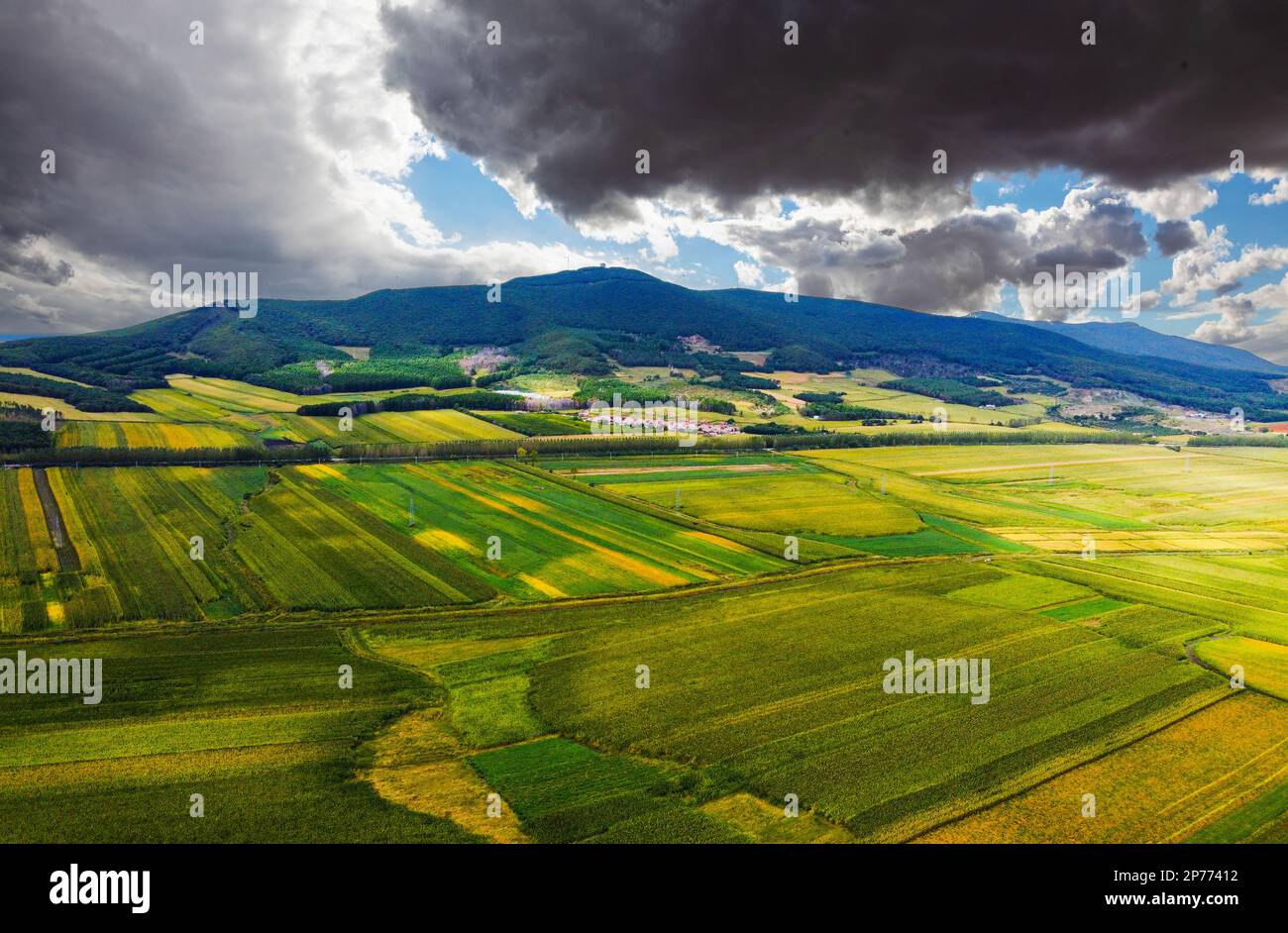 Crops plain hi-res stock photography and images - Alamy