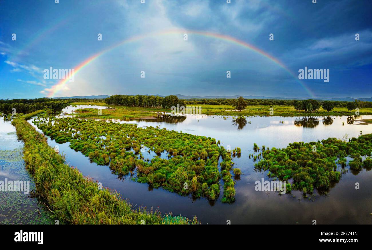 The ussuri river wetland landscape Stock Photo - Alamy