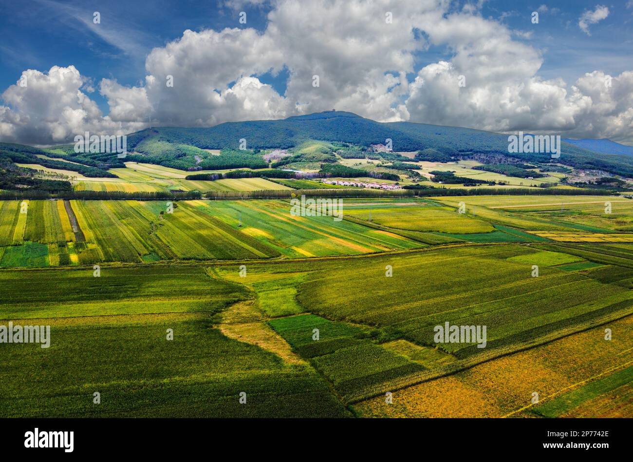 Aerial sanjiang plain autumn crop land Stock Photo - Alamy