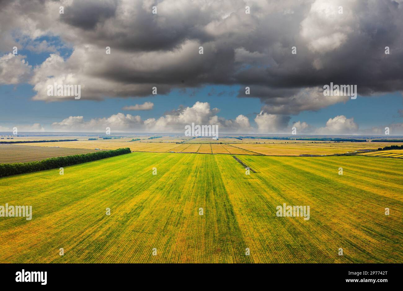 Aerial sanjiang plain autumn crop land Stock Photo - Alamy