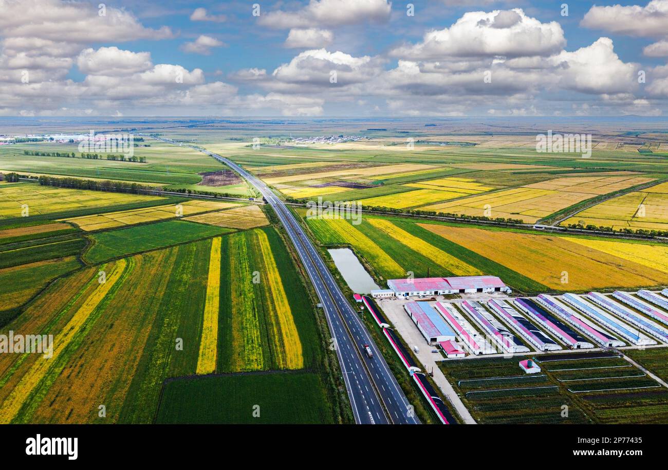 Crops plain hi-res stock photography and images - Alamy