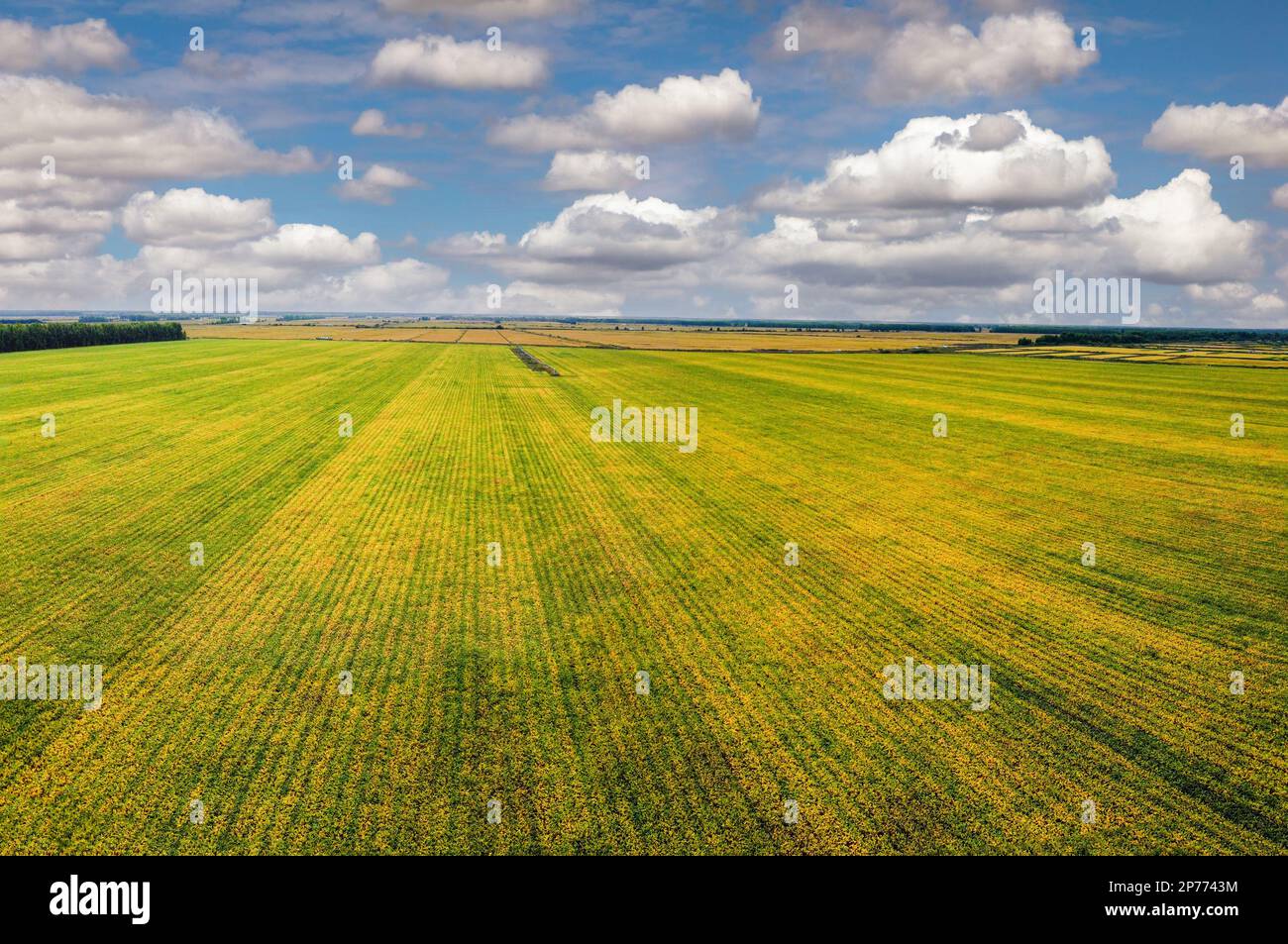 Crops plain hi-res stock photography and images - Alamy