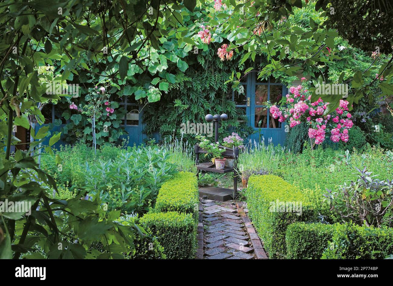 English cottage garden climbing roses Stock Photo - Alamy
