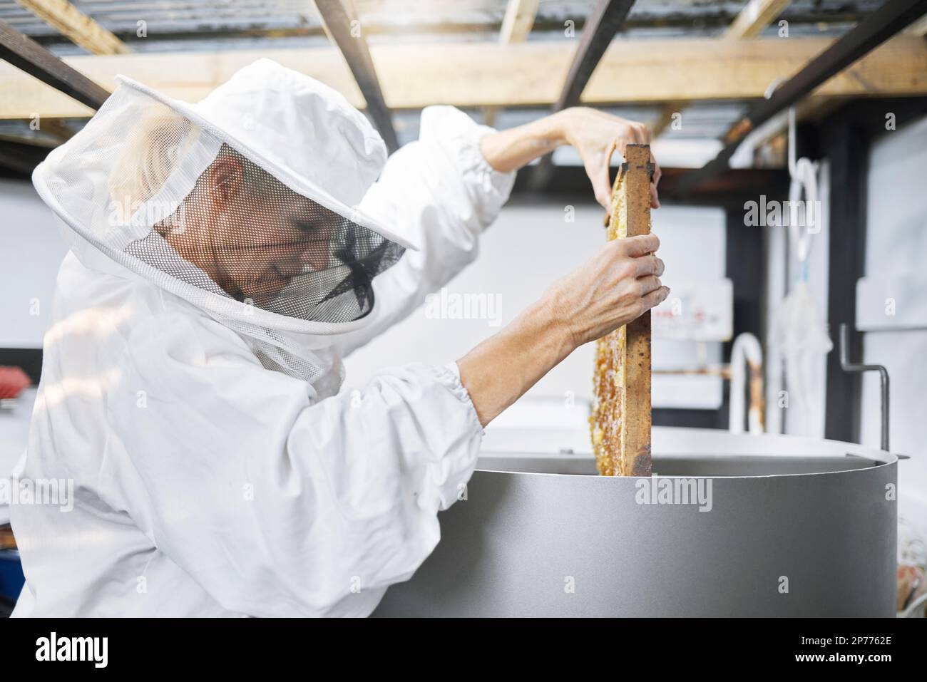 Beekeeping, process and beekeeper with honeycomb manufacturing ...
