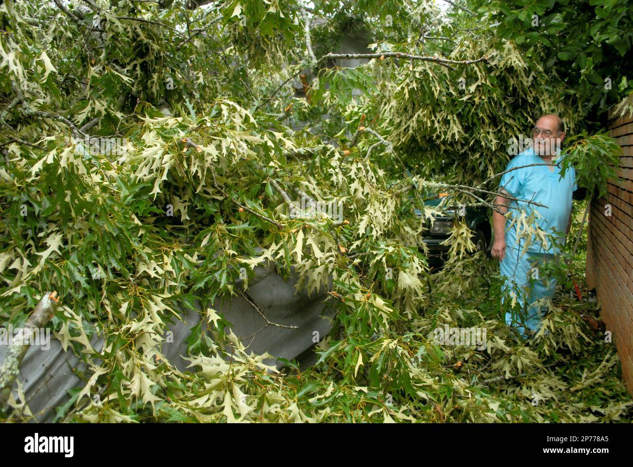 Dan Foley looks at his car after storms toppled trees on top of it and ...