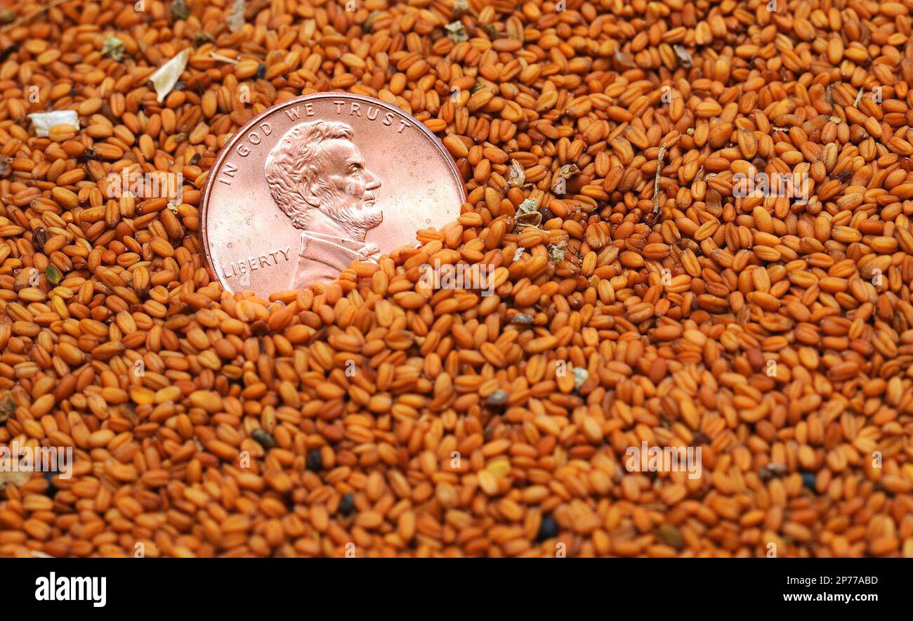 This undated photo shows a penny in relation to the size of tiny ...