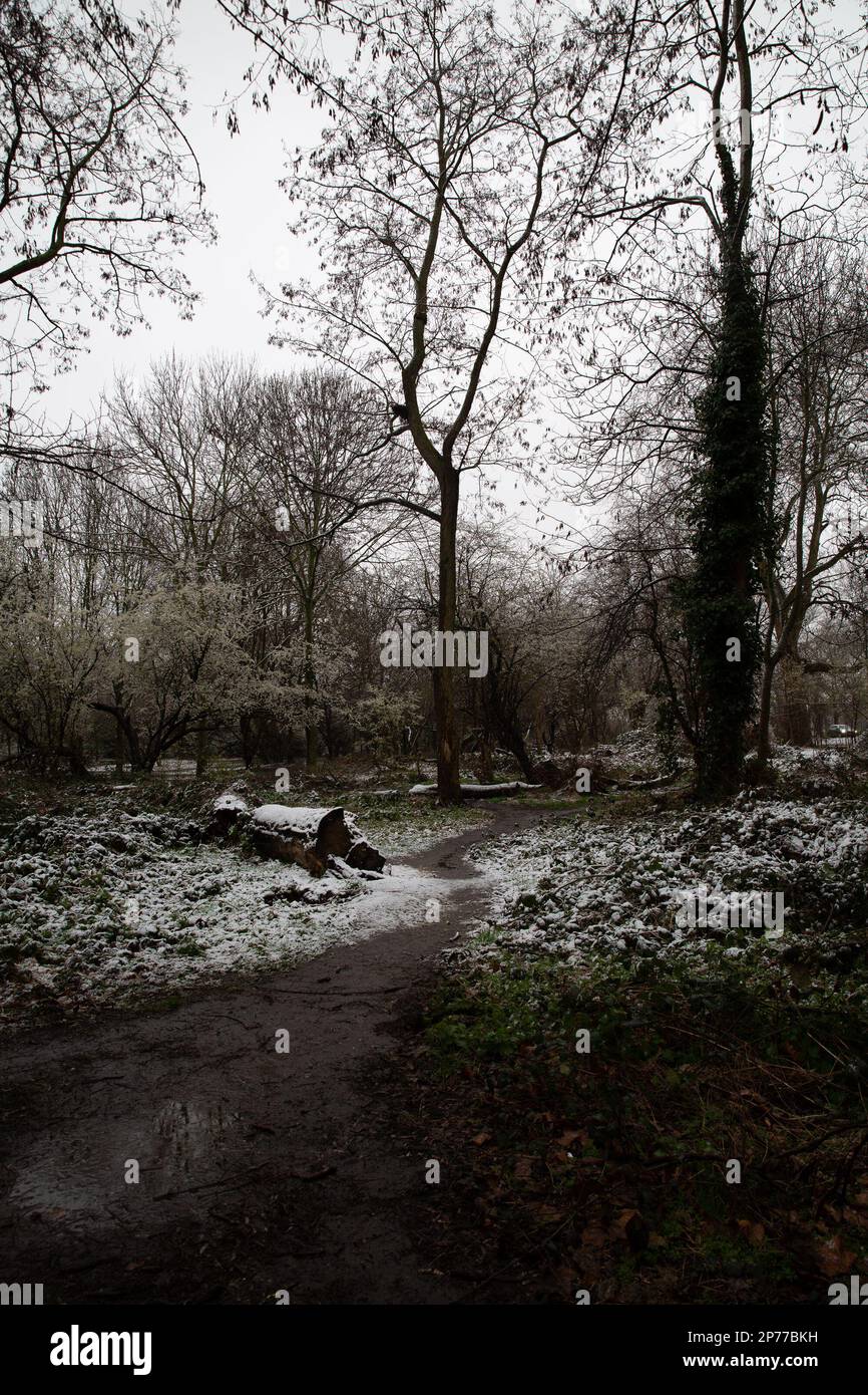 Chrysoulla kyprianou hi-res stock photography and images - Alamy