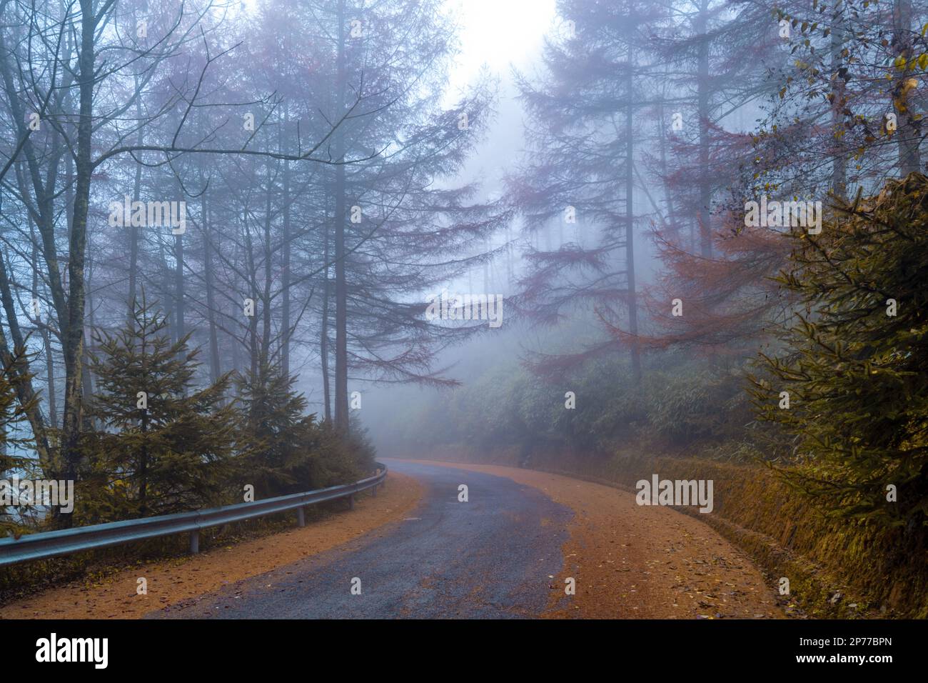 Chongqing wushan forest autumn scenery Stock Photo - Alamy