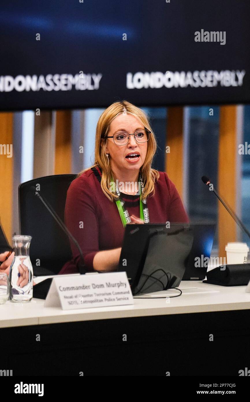 Detective Superintendent Jane Corrigan, appears before the London ...