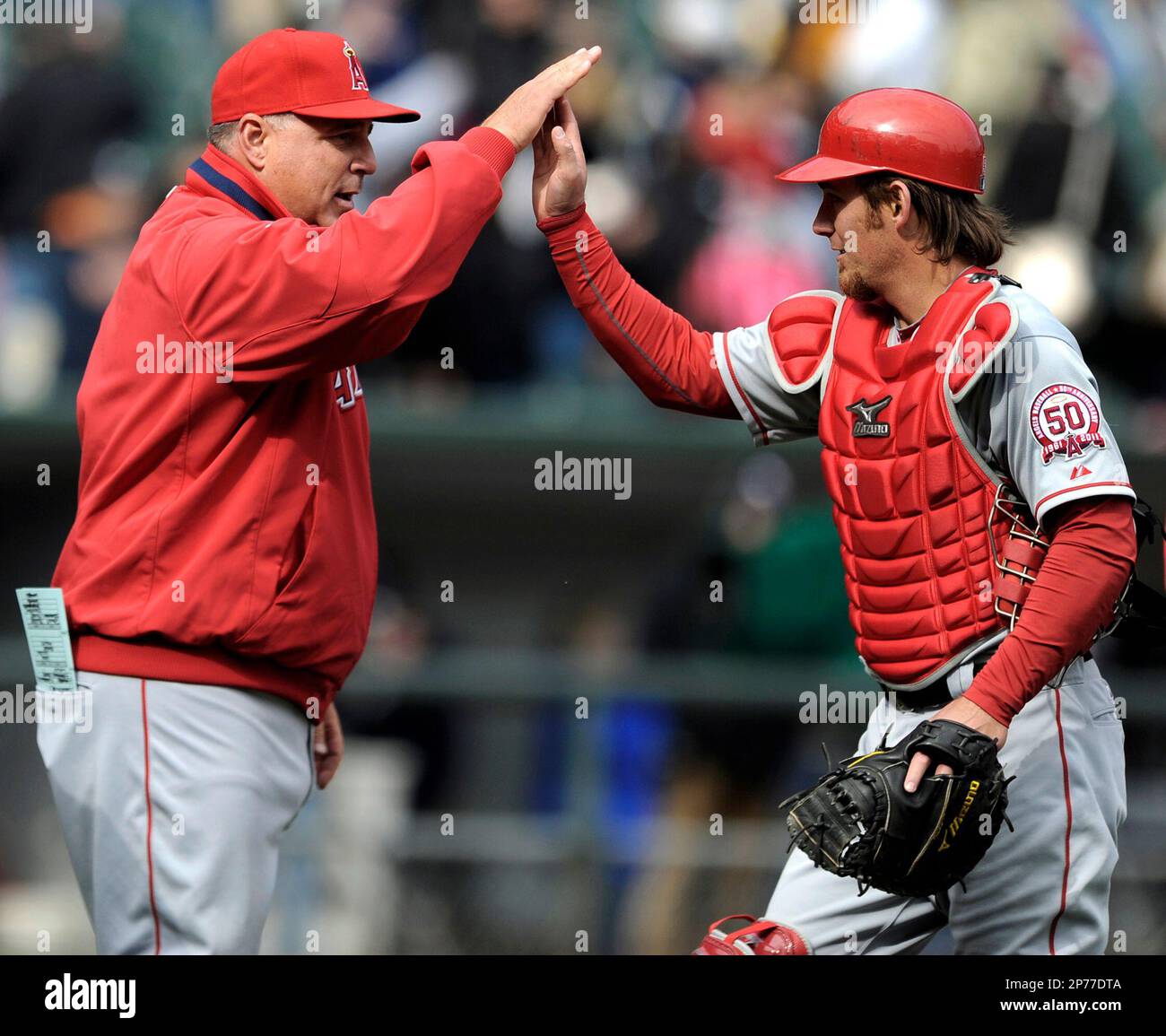Los Angeles Angels manager Mike Scioscia left, celebrates with catcher ...