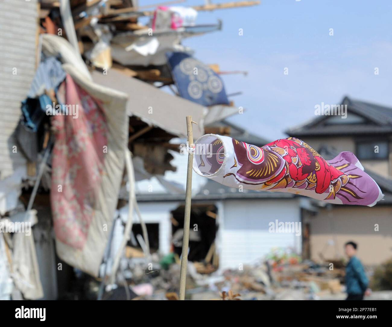 A carp streamer flies in the air in front of a house damaged by March ...