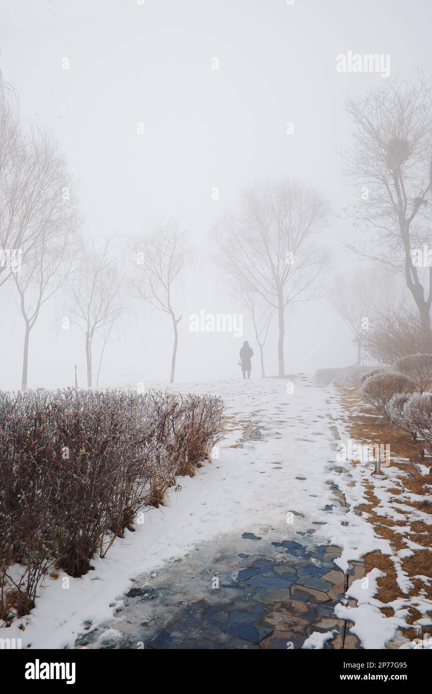 Disappearing ice hi-res stock photography and images - Alamy