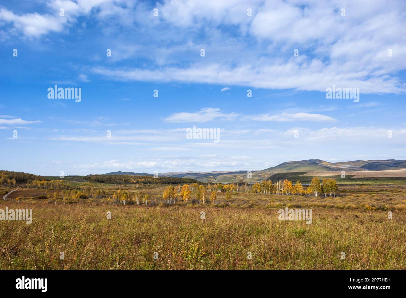 The hulunbuir scenery Stock Photo - Alamy